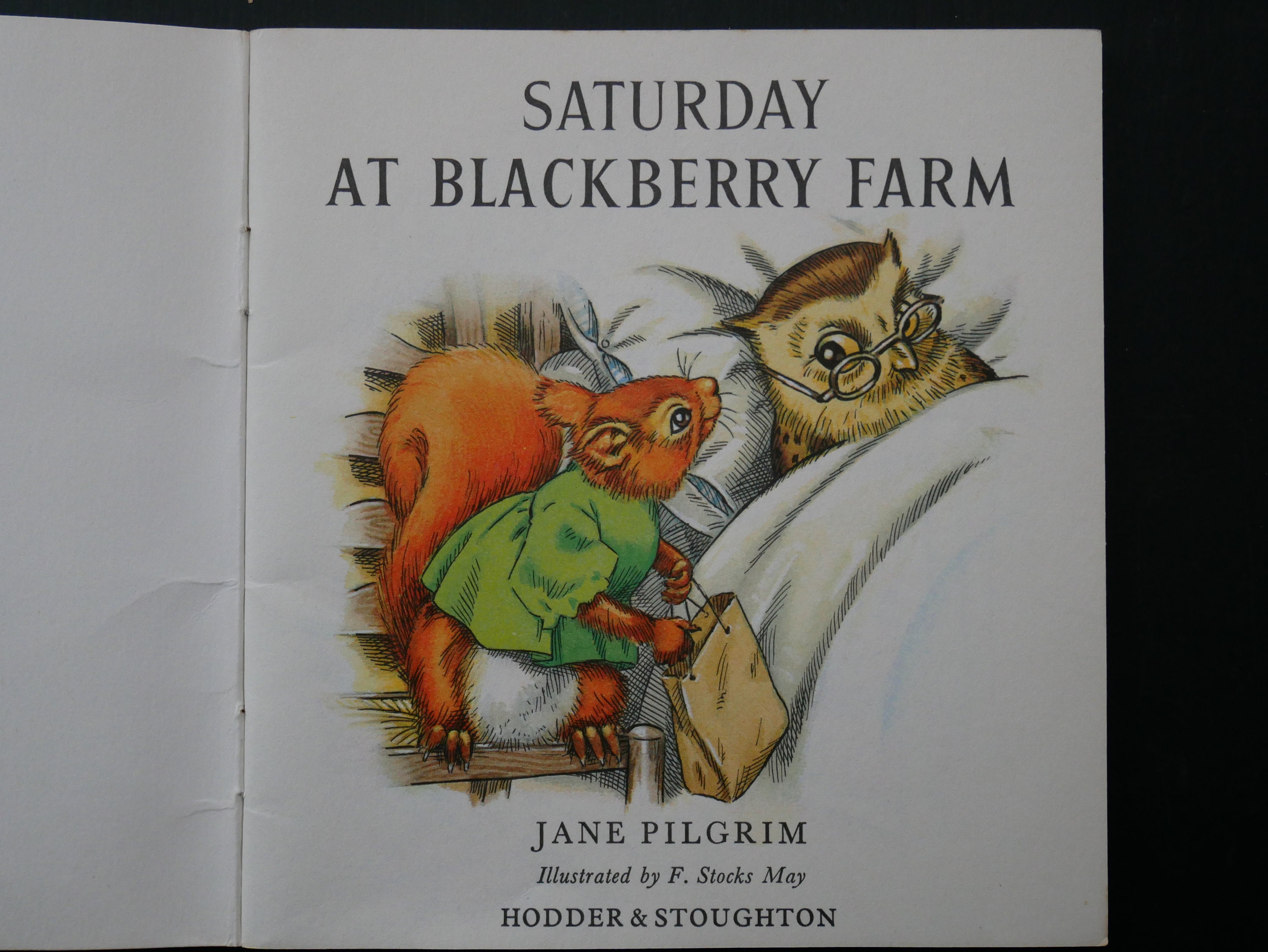 Blackberry Farm Books by Jane Pilgrim Published by the - Etsy