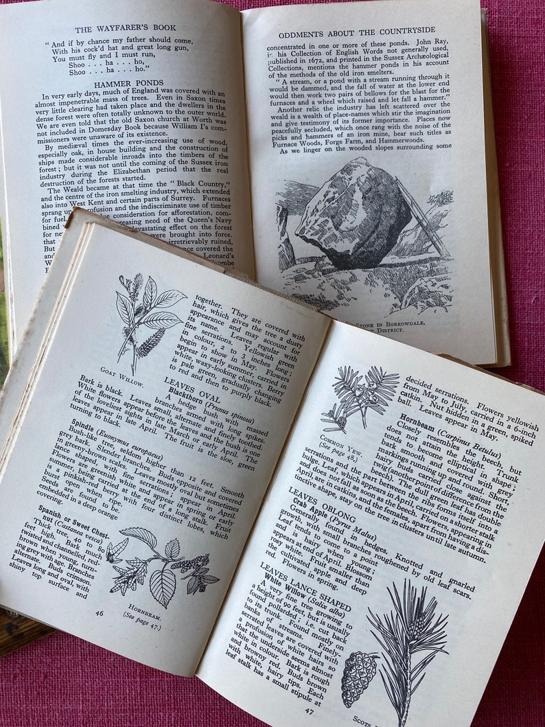 Countryside Book Bundle - Etsy