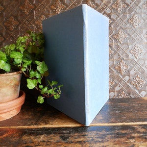 The Adventures of Jonathan Seal by Heloise Des Salles Jonathan Cape ...