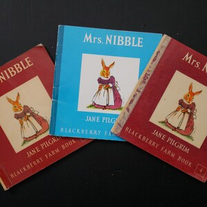 Blackberry Farm Books by Jane Pilgrim - Published by the Brockhampton ...