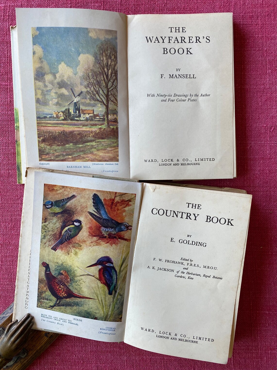 Countryside Book Bundle - Etsy