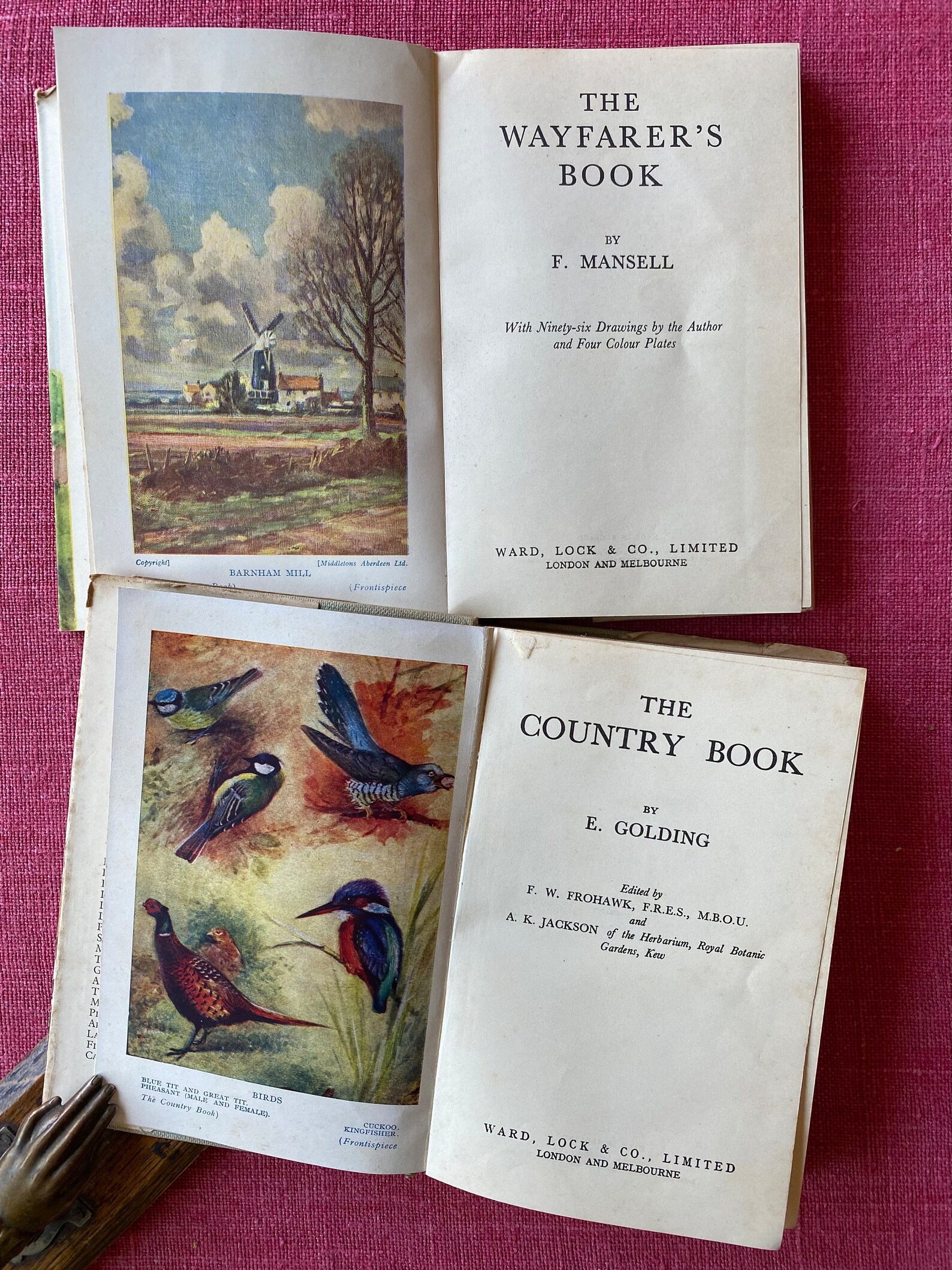 Countryside Book Bundle - Etsy