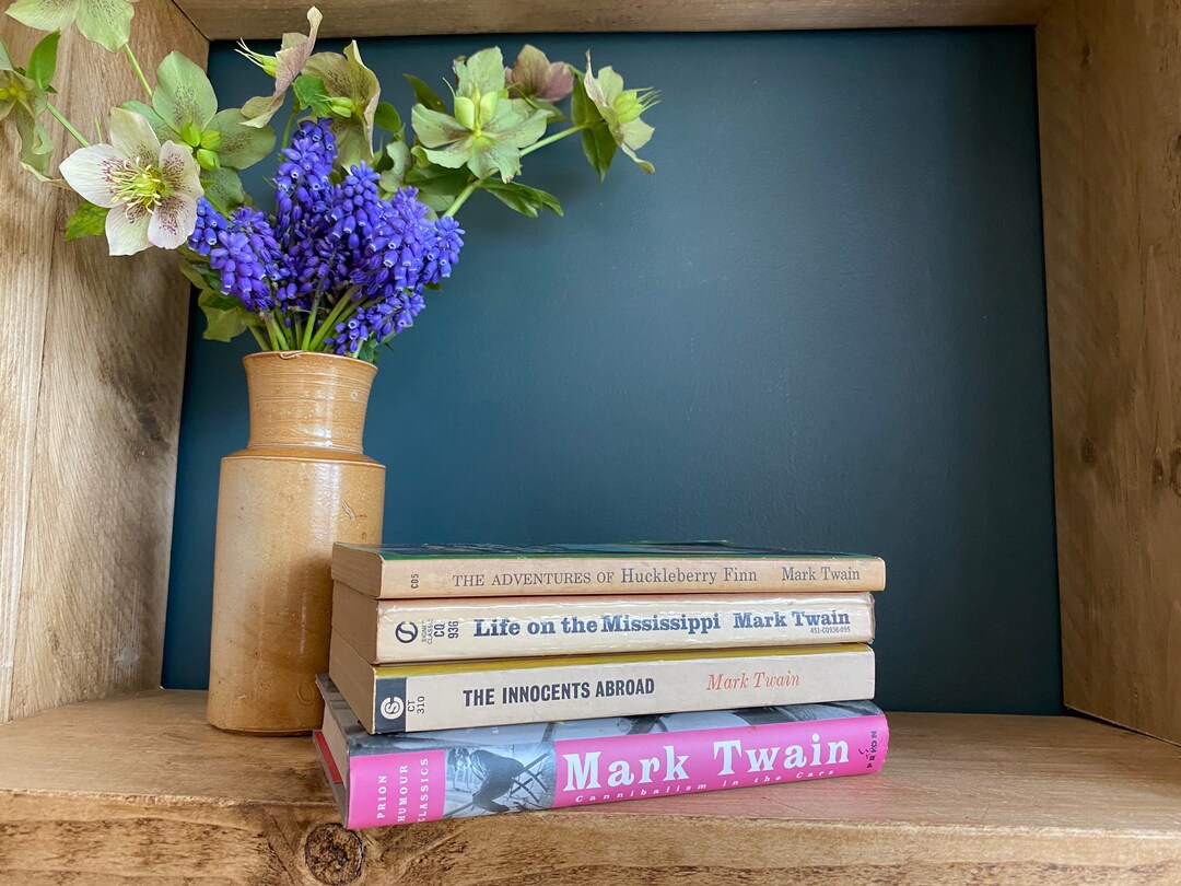 Mark Twain Book Bundle - Etsy