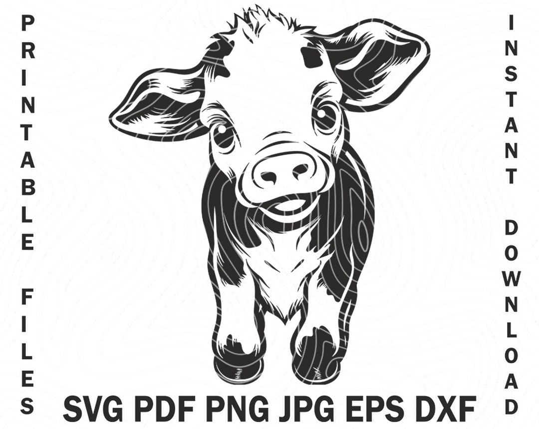 Adorable Baby Cow SVG Printable Design Png Dxf Eps Ai Little Calf ...
