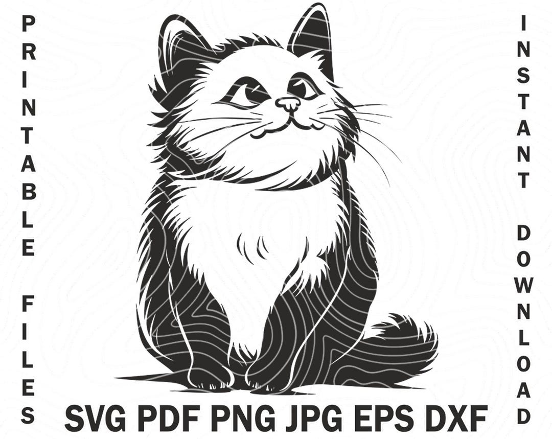Fat Cat Svg, Funny Cat Decor, Cute Cat Png, File for Cricut SVG, Cat ...