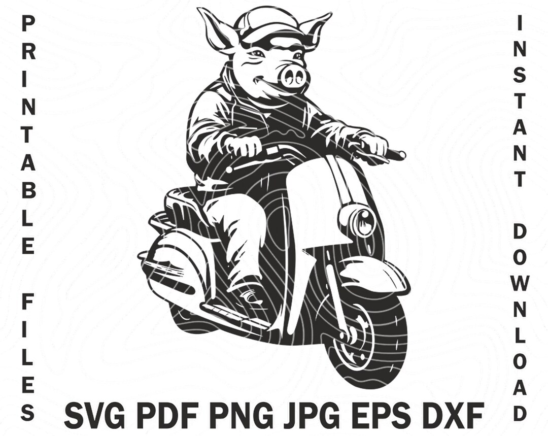 Funny Pig on Electric Scooter SVG, Png Pig on Scooter, Stylish Designs ...