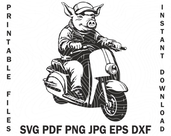 Clipart Divertente Maiale PNG Di Maiale Di Natale, Foto Divertente Di
