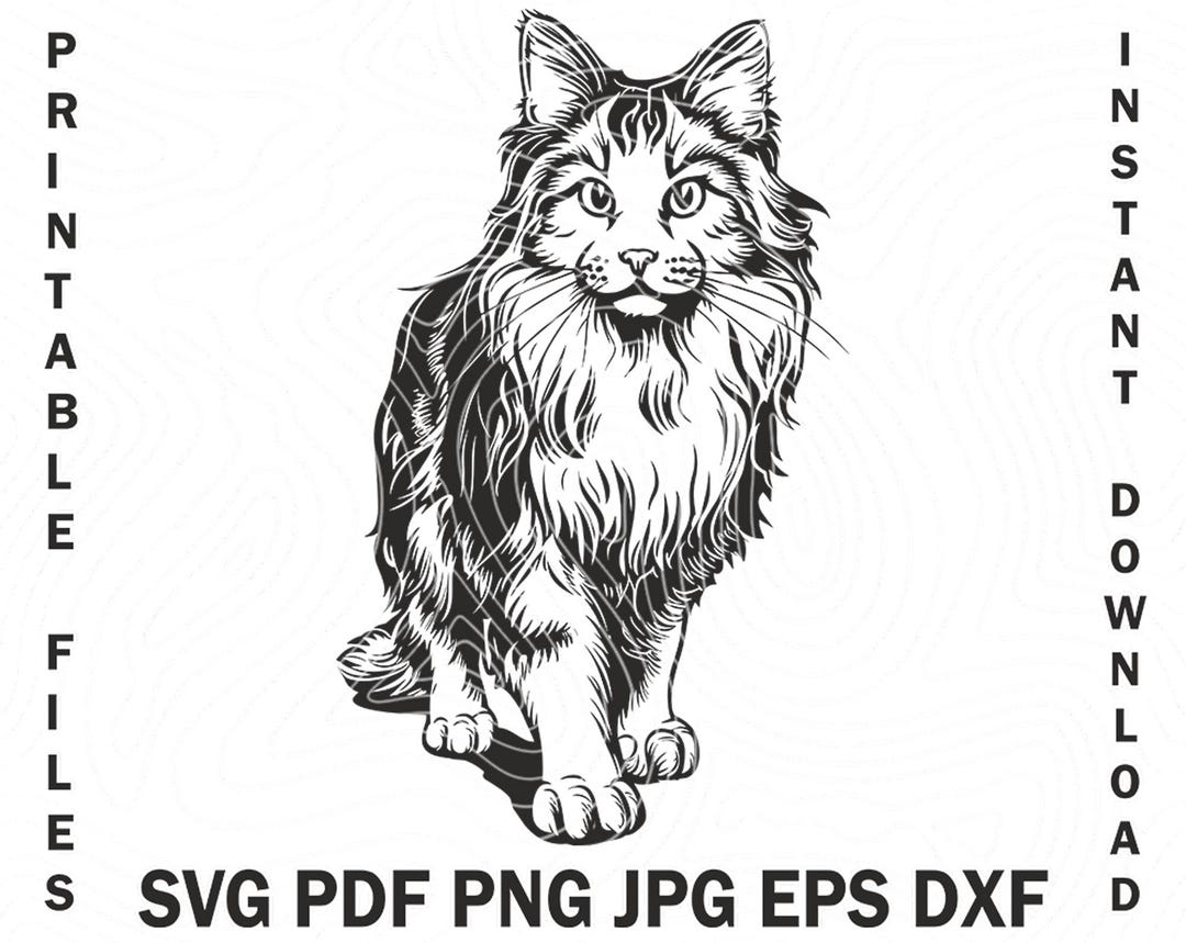 Maine Coon Cat Svg, File for Cricut, Funny Cat Lover Gift, Vector ...