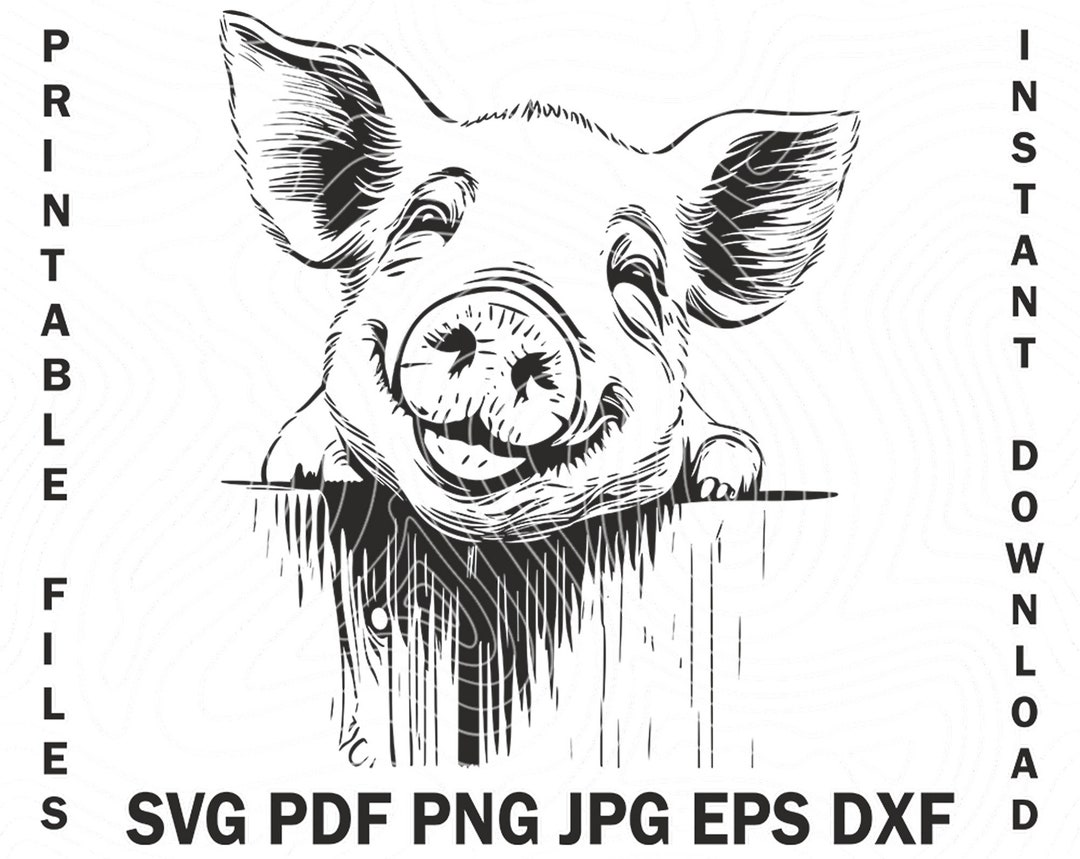 Show Pig Behind the Fence SVG | Pig Hog Farm Png Show Animals | Pig ...