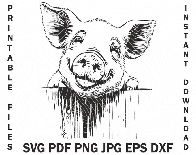 Show Pig SVG Bundle, Pig SVG, Show Stock SVG, Livestock Svg, Hog Farm ...