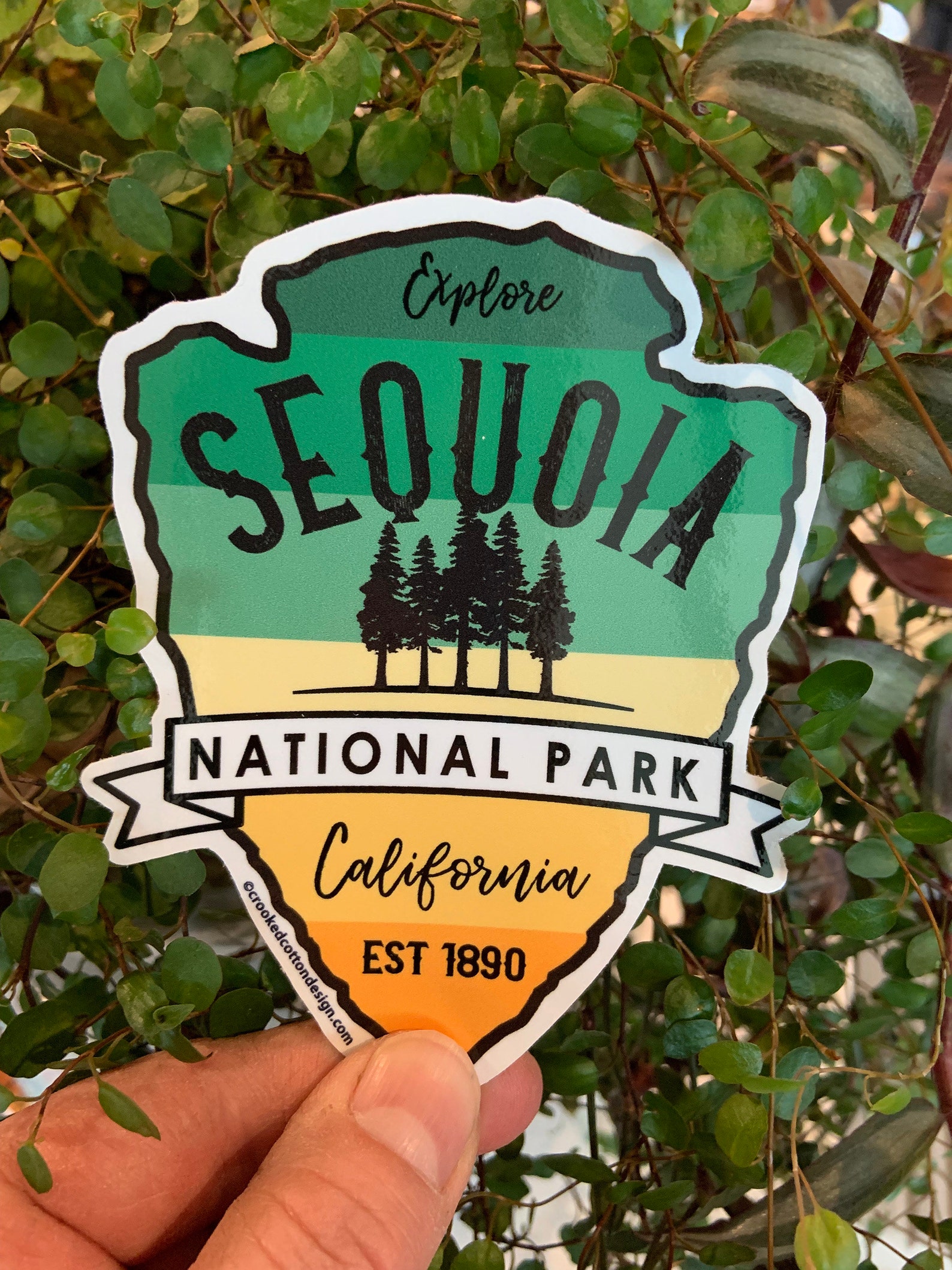 STICKER 1 Sequoia National Park California Sequoia Trees | Etsy