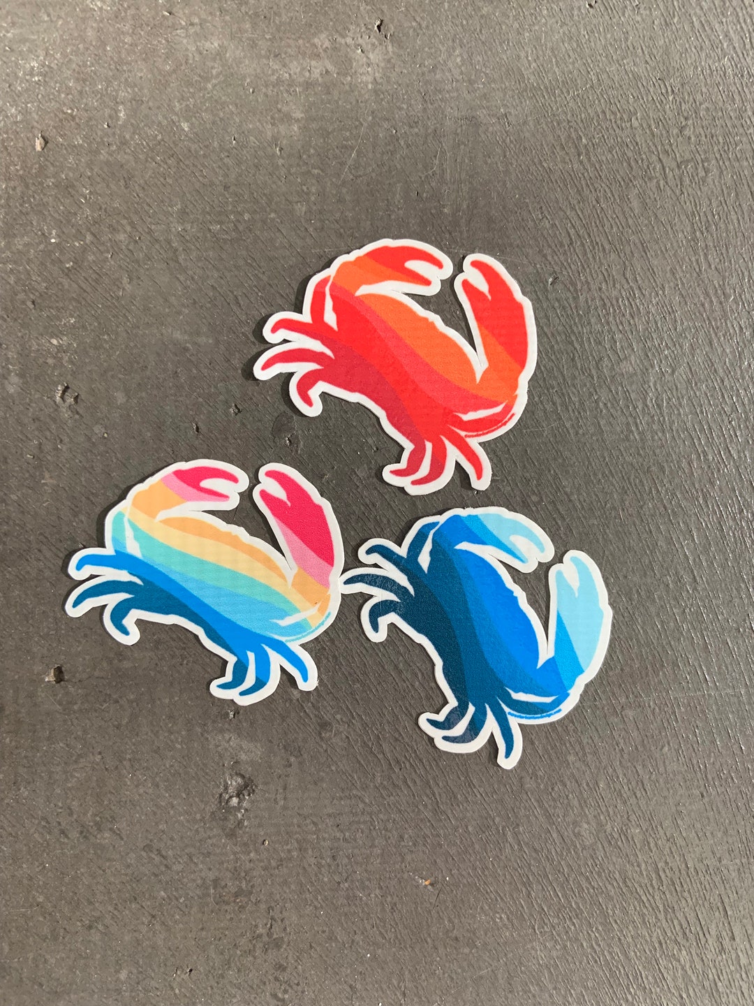 STICKER Colorful Small Crab | Red Dungeness Crab, Blue Crab or ...