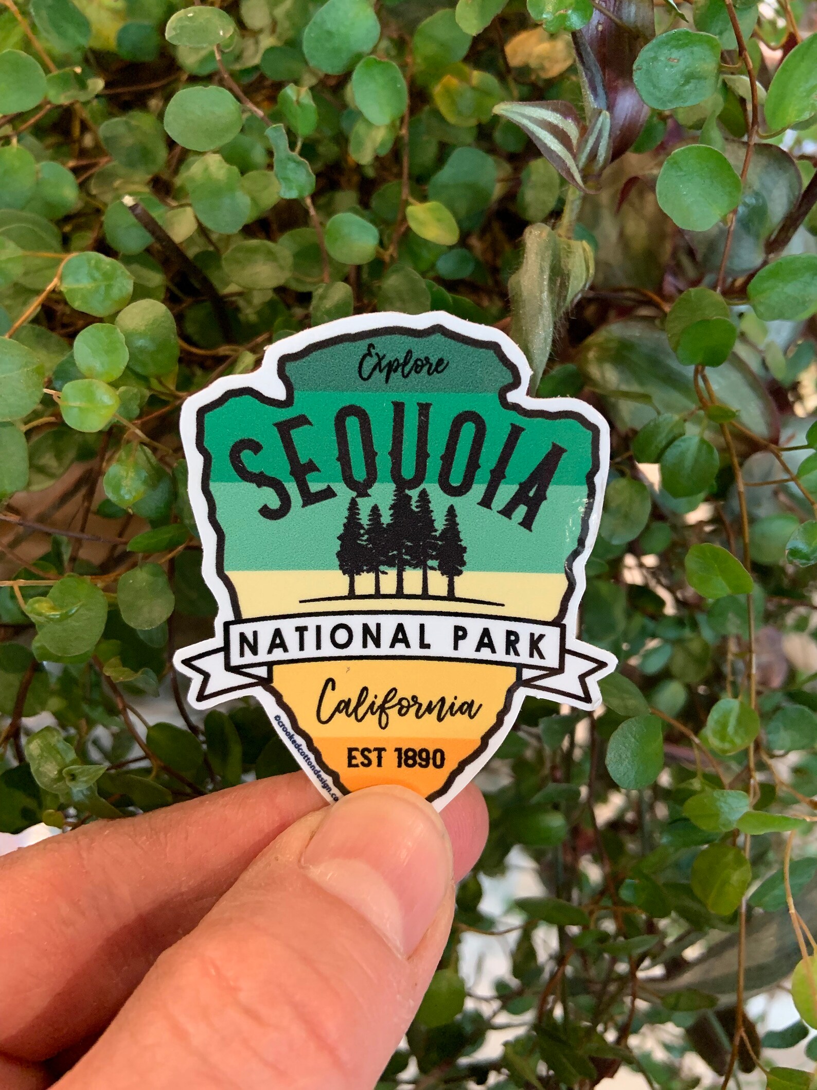STICKER 1 Sequoia National Park California Sequoia Trees | Etsy