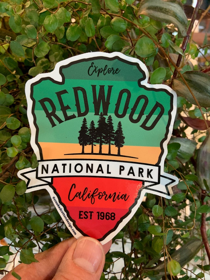 STICKER 1 Redwood National Park California Redwood Trees - Etsy