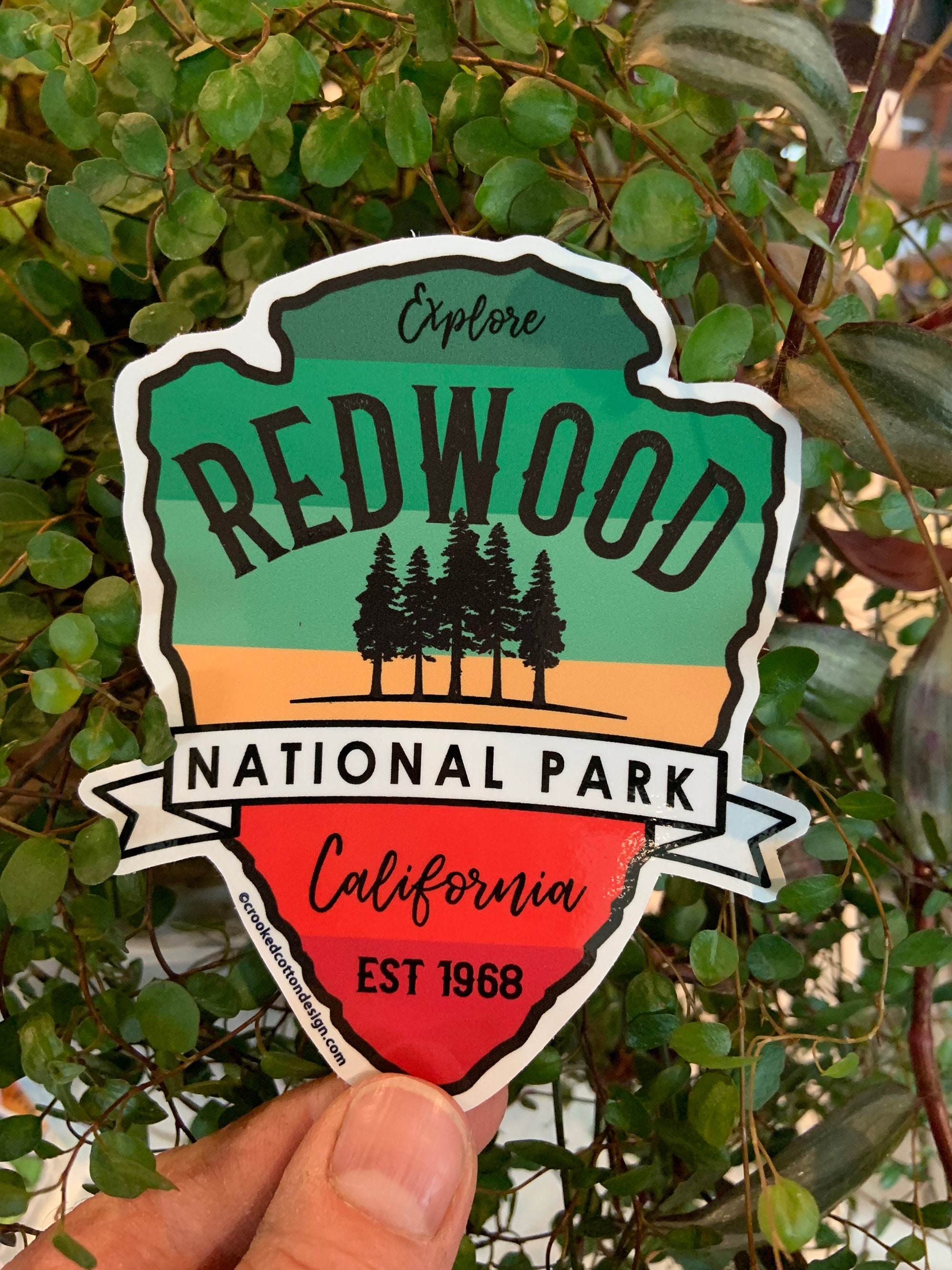 STICKER 1 Redwood National Park California Redwood Trees - Etsy