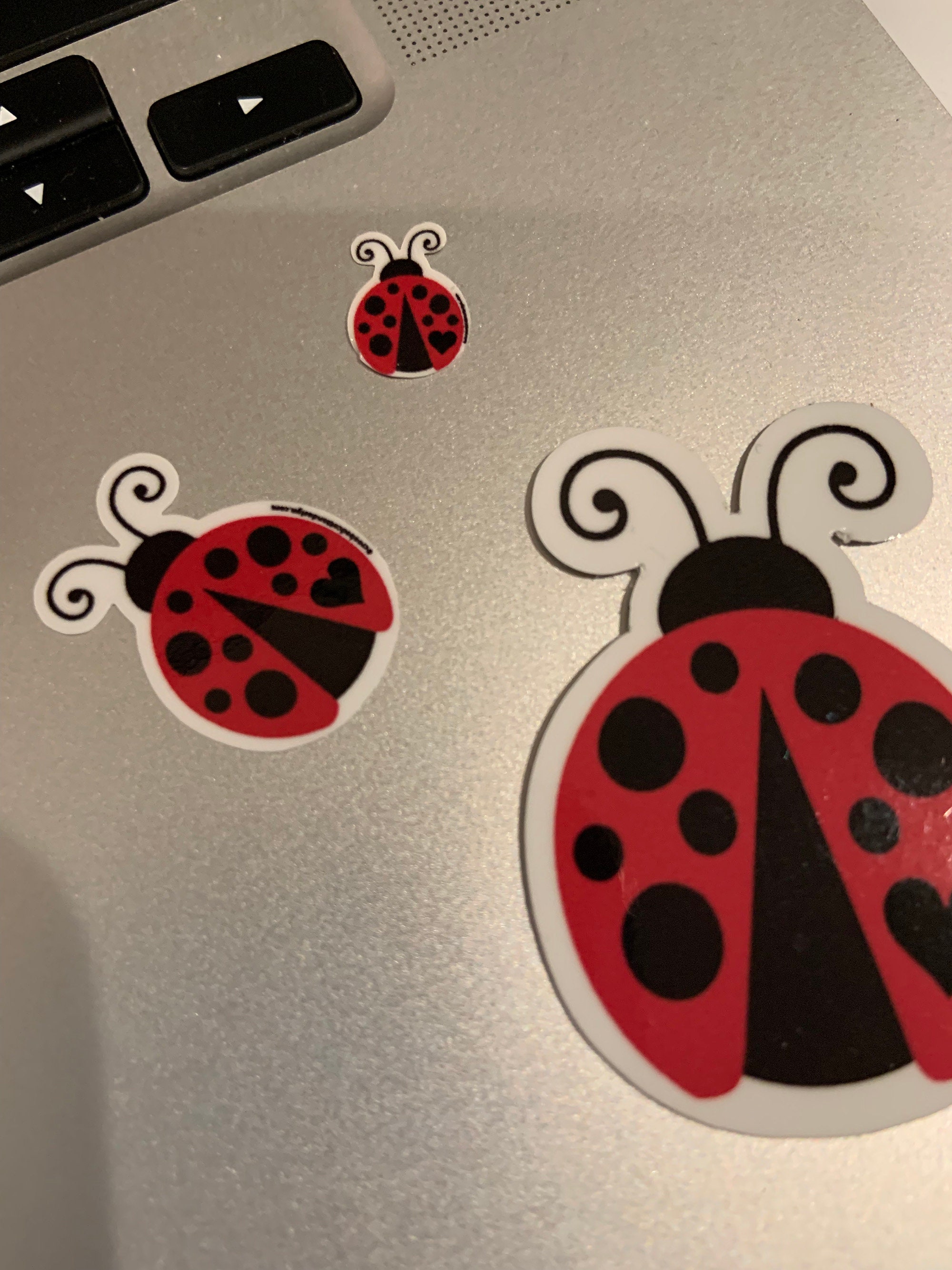 STICKER 1 Cute Ladybug Love Bug Red Ladybug With Heart 3 | Etsy
