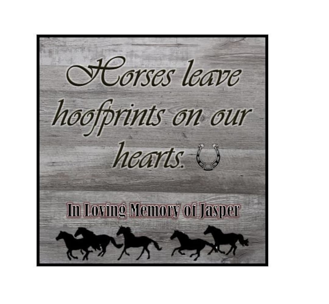 Horse Loss Gift / Horse Photo / Horse Sympathy Gift / Pet Loss Gift ...