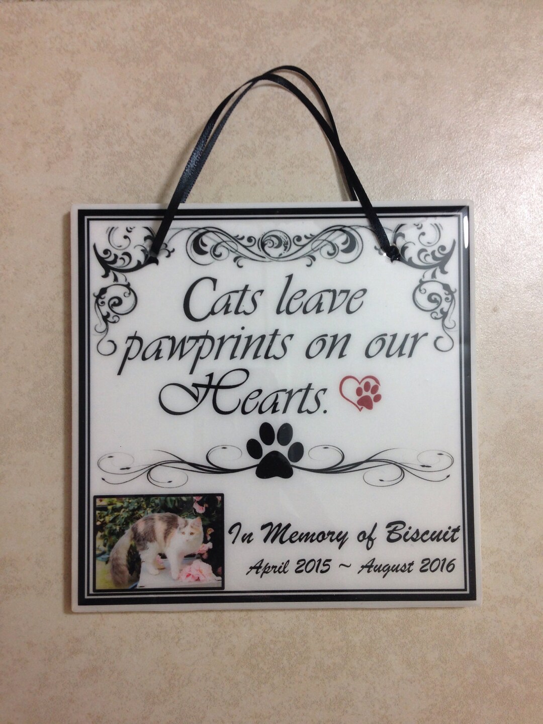 Pet Photo / Cat Loss Gift / Cat Memorial / Cat Sympathy / Pet Loss ...
