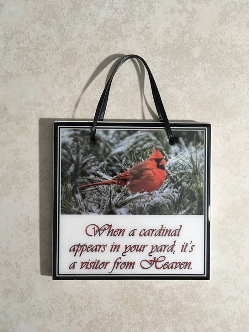 Cardinal Sign / Heaven Cardinal Sign / Cardinal Appears Sign / - Etsy