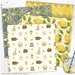 Lemonade Digital Paper Pack Lemonade Stand Digital Pattern Boho Summer ...