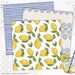 Lemonade Digital Paper Pack Lemonade Stand Digital Pattern Boho Summer ...