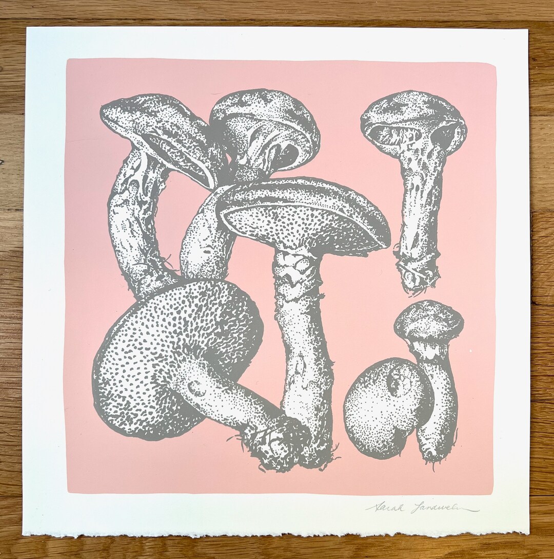 Mushrooms Screenprint | Boletes | Mushroom Art | - Etsy