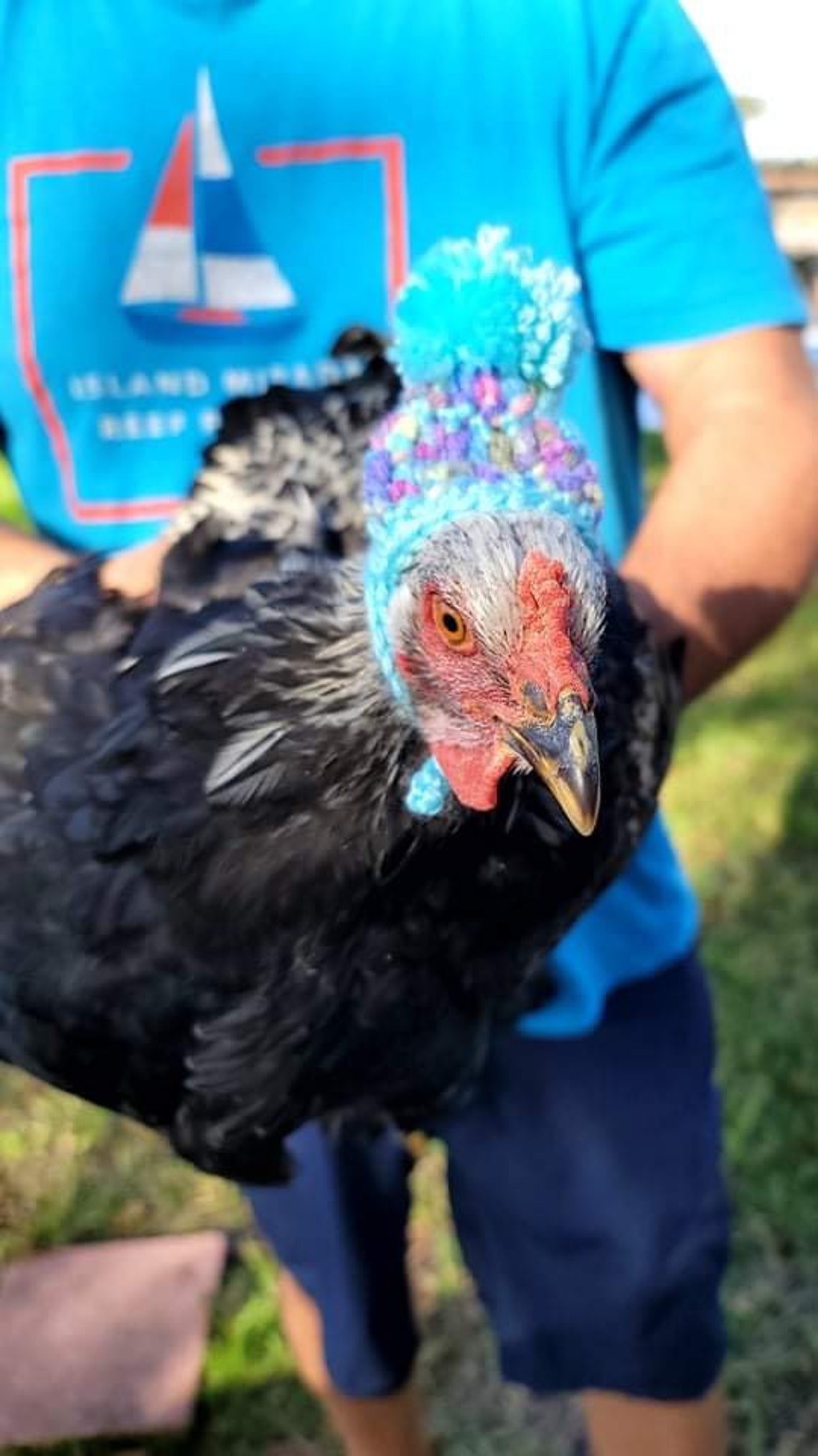 Chicken Hats-yep Its A Thing - Etsy