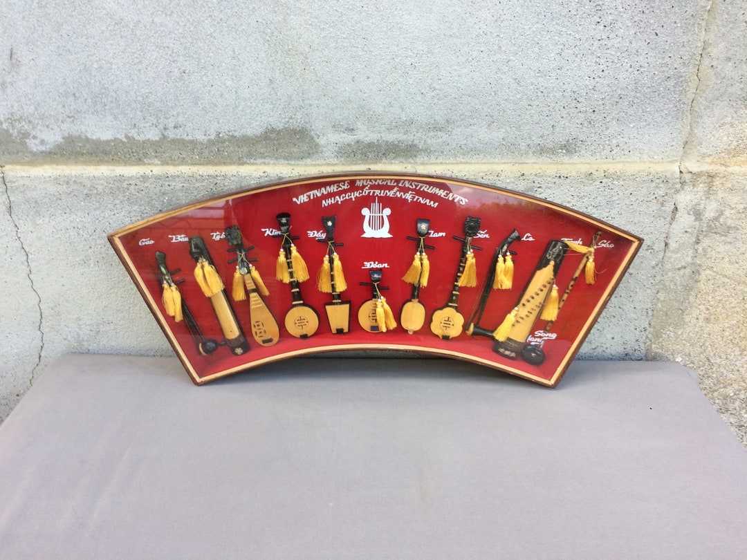 Music Shadow Box, Vietnamese Stringed Instruments Display Case - Etsy
