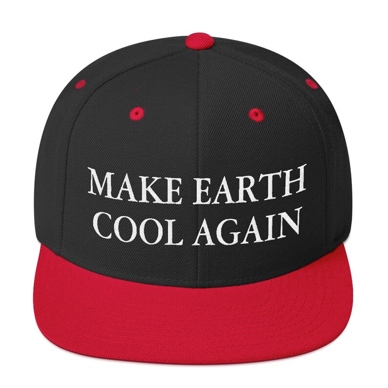 Make Earth Cool Again Embroidered Snapback Hat Climate | Etsy