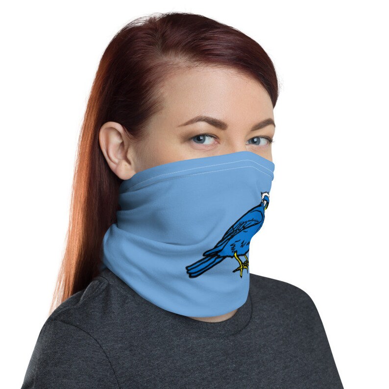 Birdie Bernie Sanders Washable Face Mask Neck Gaiter Funny - Etsy