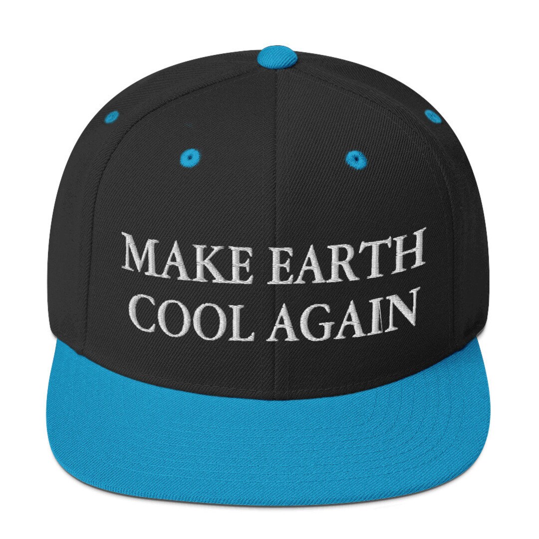 Make Earth Cool Again Embroidered Snapback Hat | Climate Change Hat # ...