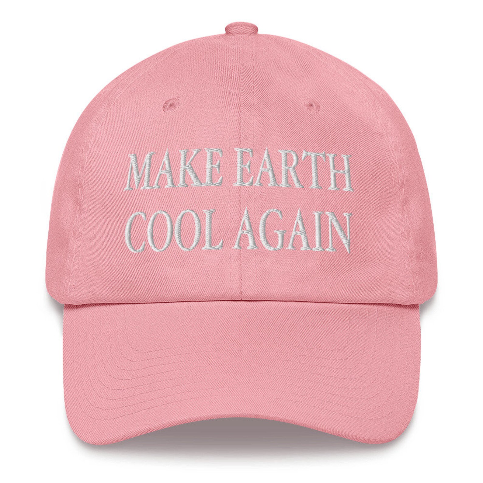 Make Earth Cool Again Embroidered Dad Hat Climate Change Hat | Etsy