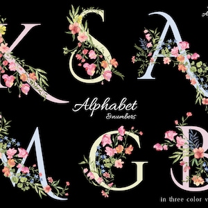 Pastel Floral Alphabet, Regency Era Wedding Monogram, Bridgerton Style ...