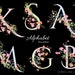 Pastel Floral Alphabet, Regency Era Wedding Monogram, Bridgerton Style ...