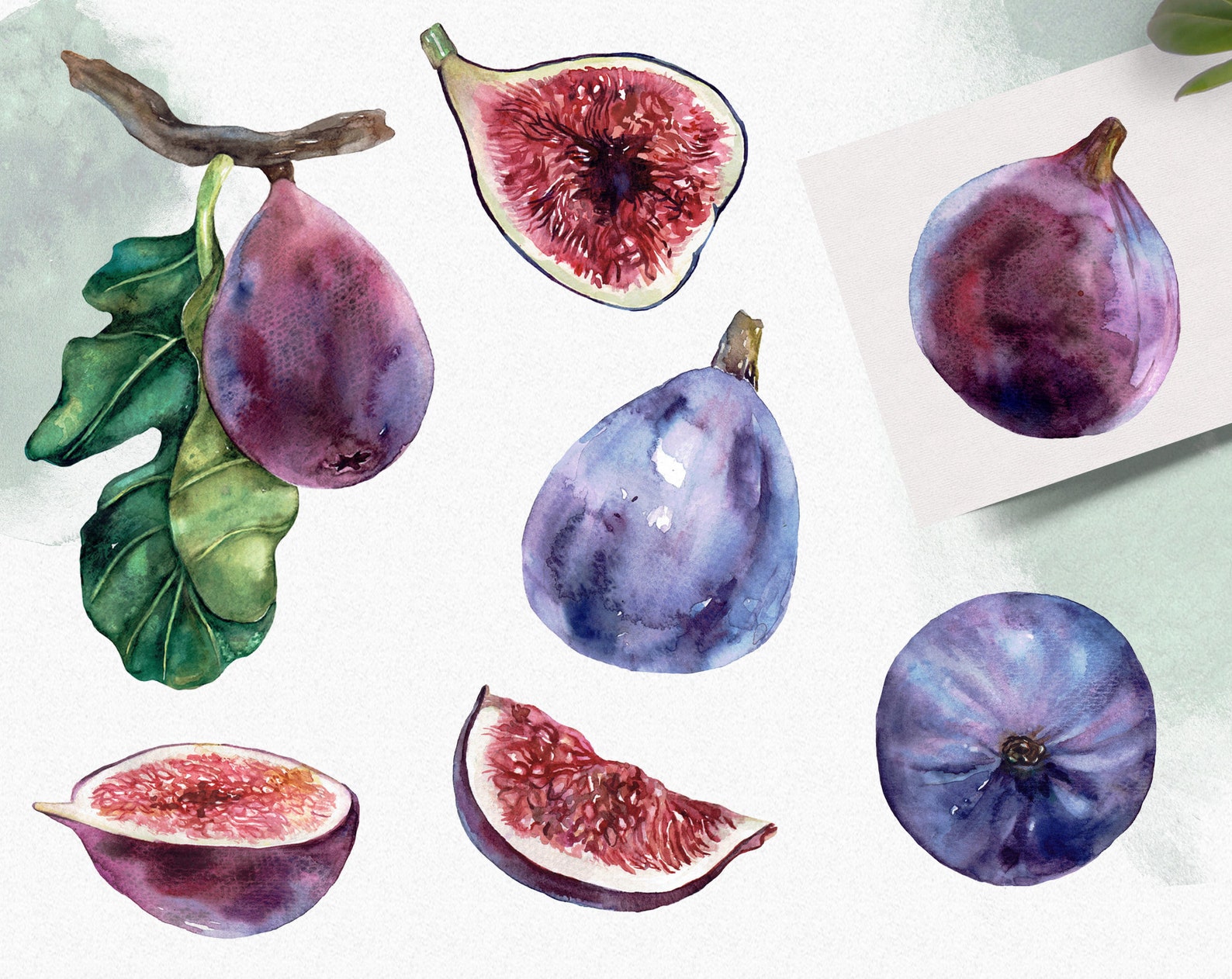 Figs Watercolor Studies Fruits Watercolor Clipart Vegan Food | Etsy