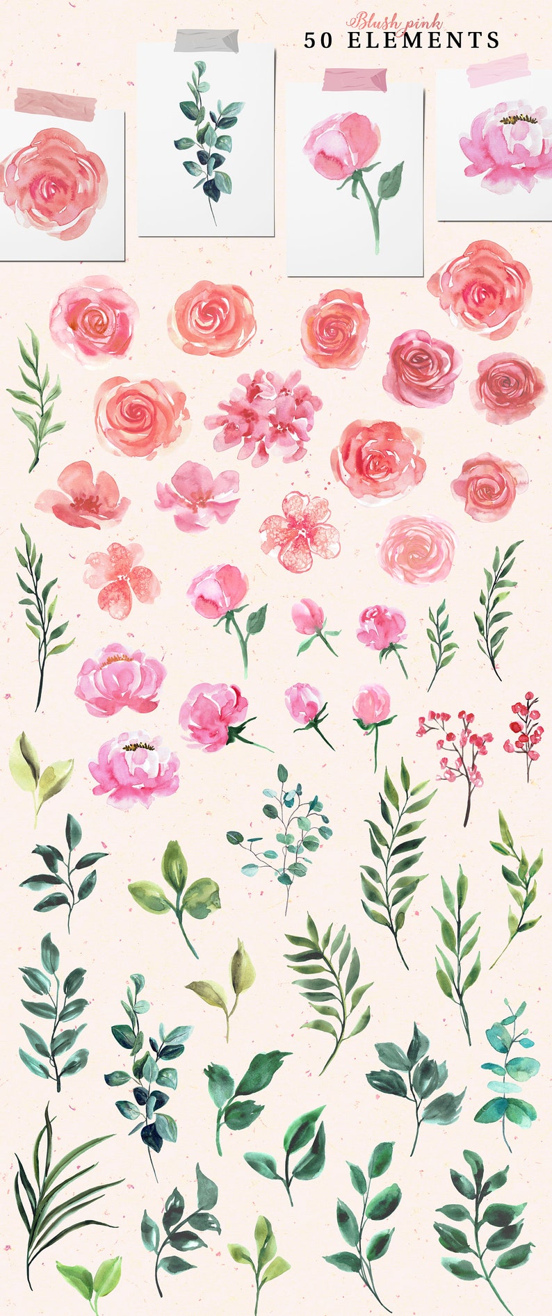 Blush Pink Roses Floral Watercolor Clipart Separated | Etsy