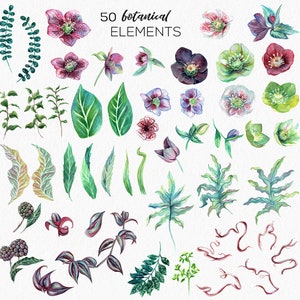 Botanica DIY Elements Watercolor, Hand Painted Flowers and Leaves ...