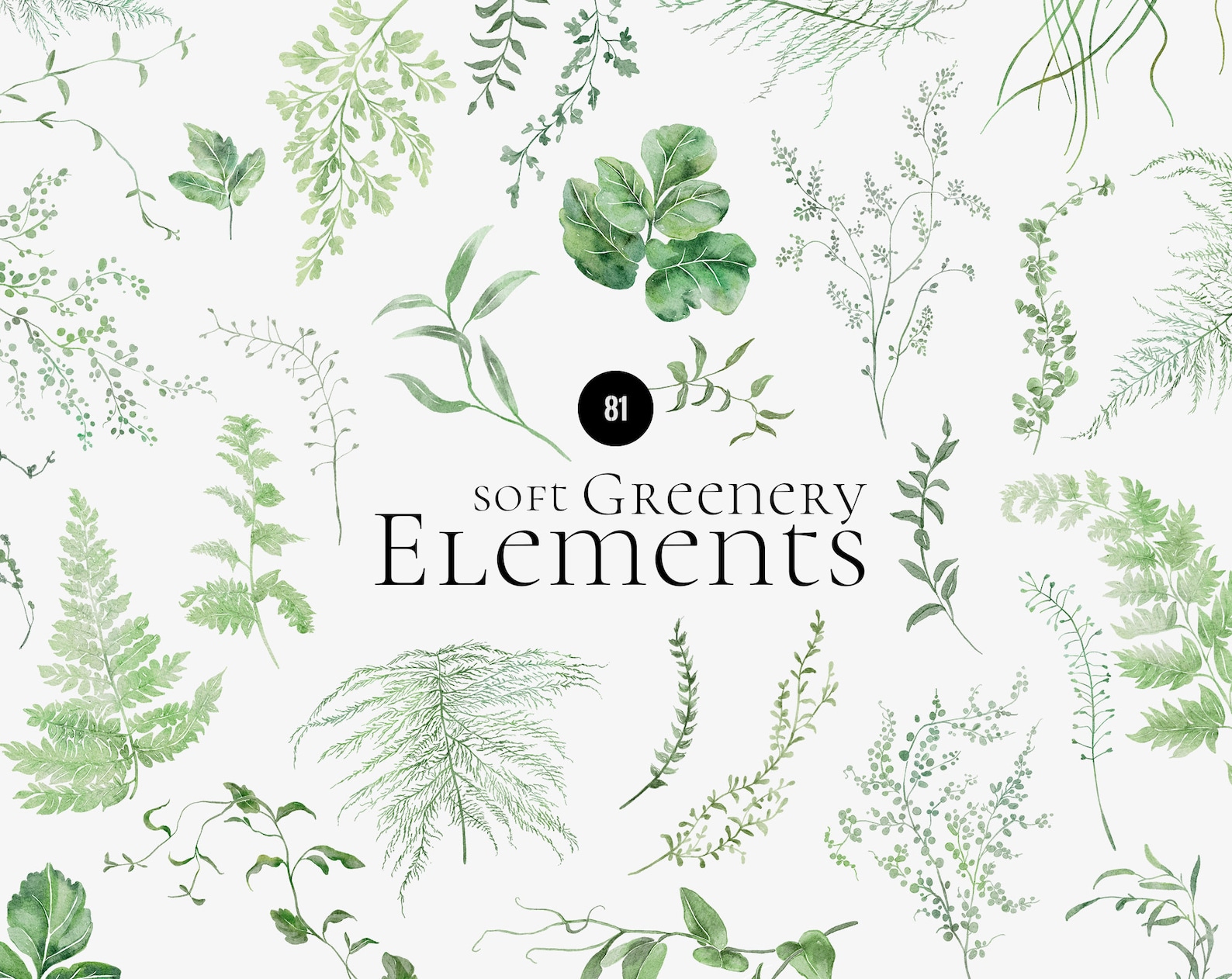 Soft Greenery Elements Watercolor Clipart Delicate Leaves - Etsy