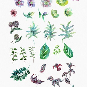 Botanica DIY Elements Watercolor, Hand Painted Flowers and Leaves ...