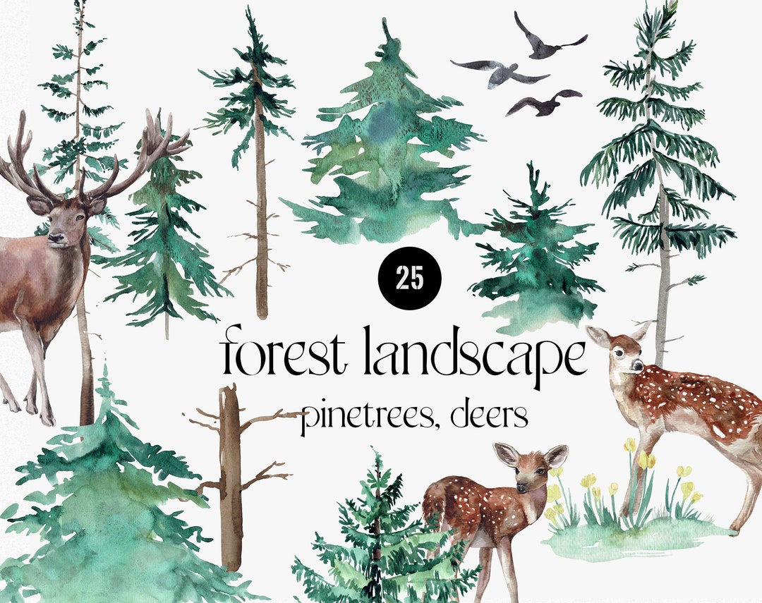 Watercolor Forest Trees Clipart, Forest Animals Elements, Pine Trees ...