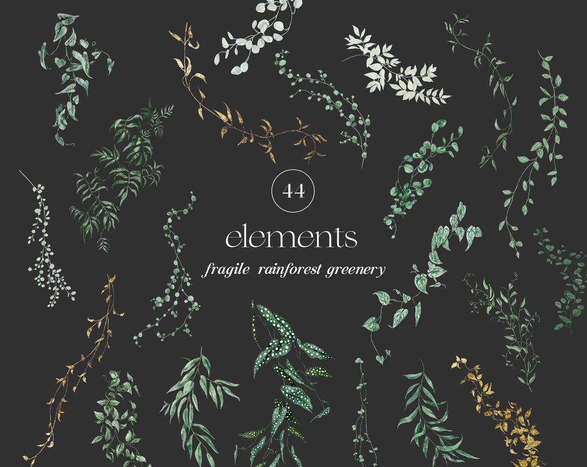 Watercolor Greenery Clipart, Delicate Foliage, Wild Rainforest, Soft ...