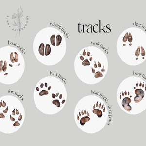 Animals Tracks Watercolor Clipart, Forest Animal Track, Forest Decor ...
