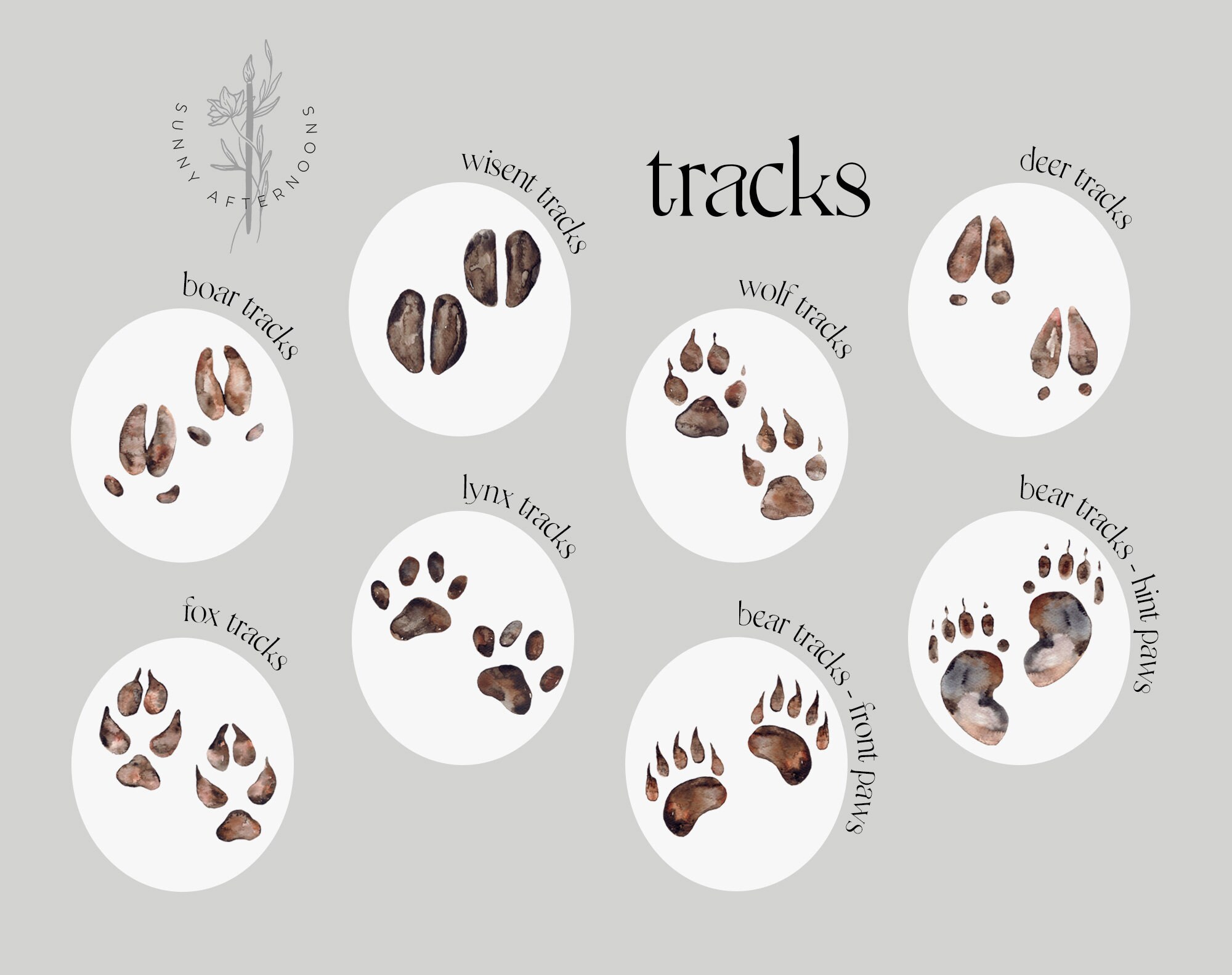 Animals tracks Watercolor clipart forest animal track forest | Etsy