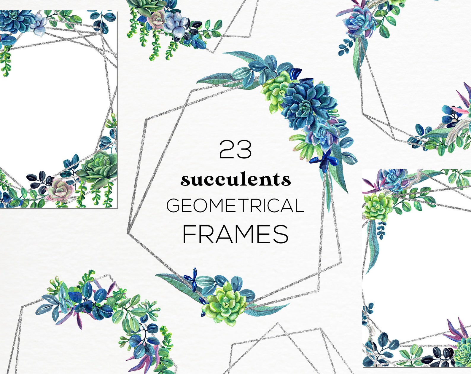 Succulents Watercolor Geometric Frames Clipart, Floral Watercolor ...