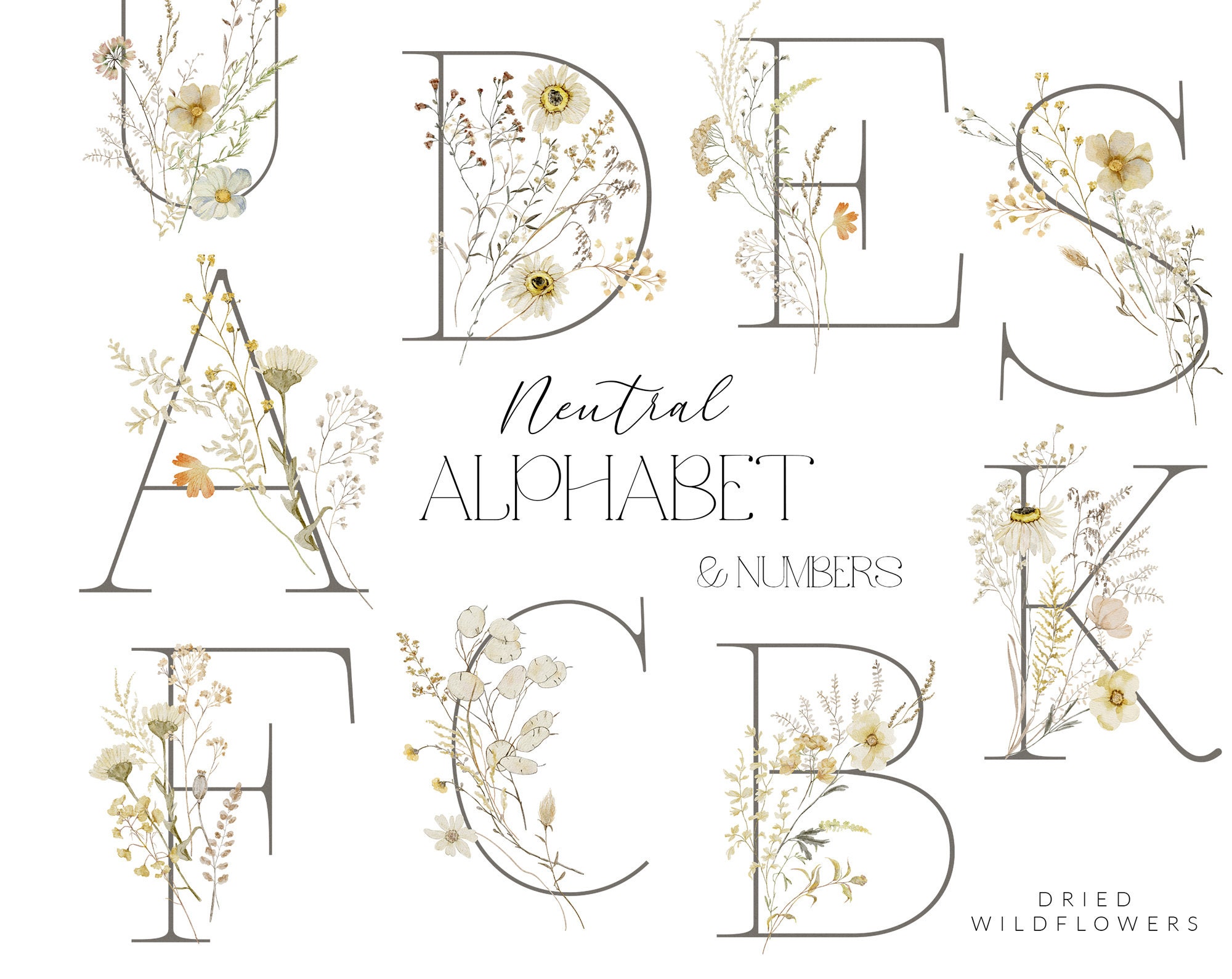 Neutral Meadow Wildflowers Alphabet Clipart, Watercolor Dried Field ...