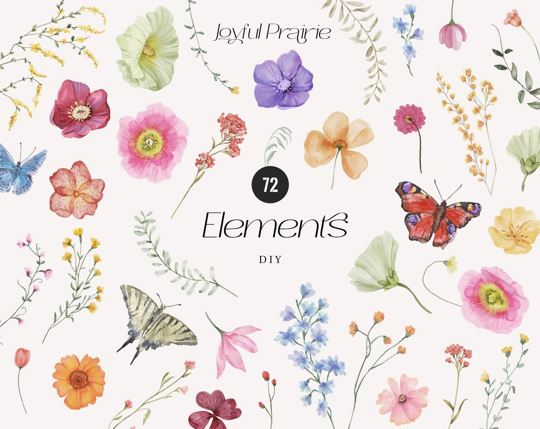 Joyful Prairie Elements Wildflower Watercolor Clipart, Delicate Pressed ...