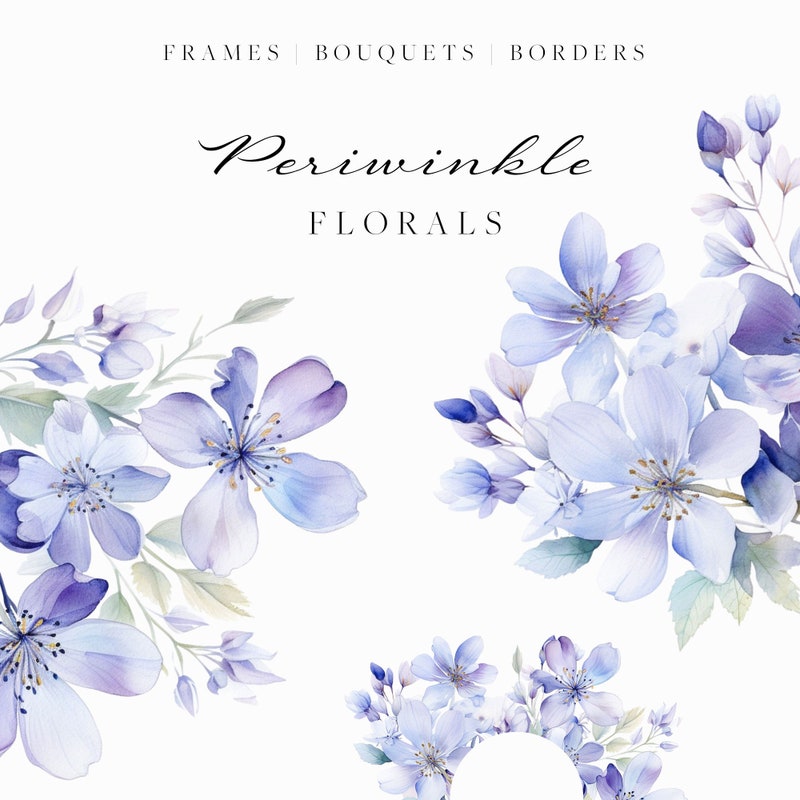 Periwinkle Flowers - Etsy