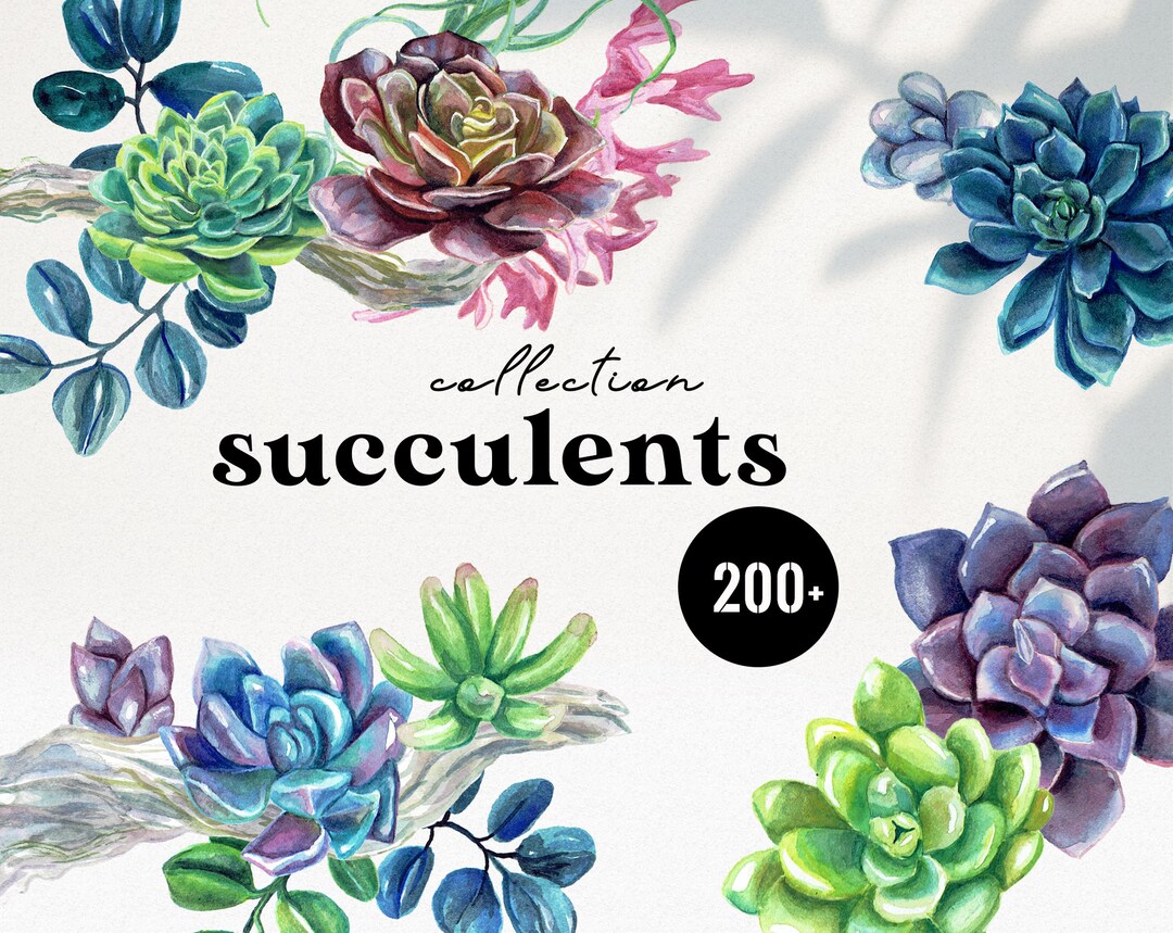 Succulents SET Floral Watercolor Clipart, Silver Alphabet and Digital ...
