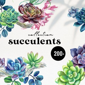 Succulents SET Floral Watercolor Clipart, Silver Alphabet and Digital ...