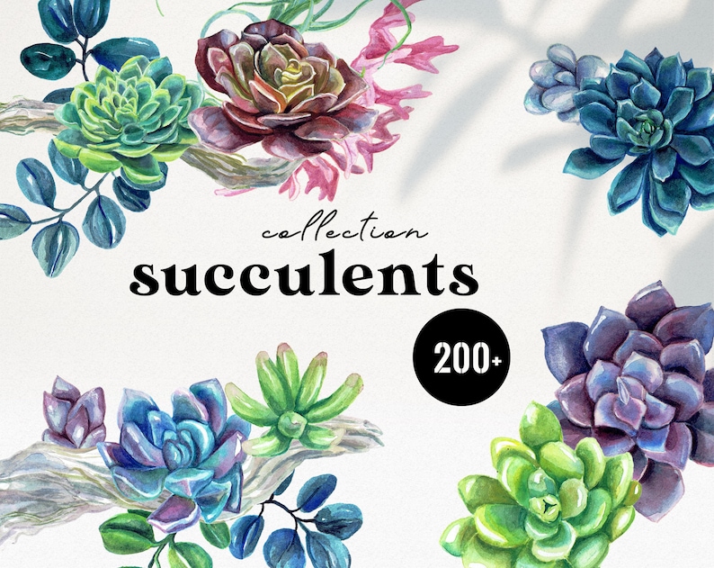 Succulents SET Floral Watercolor Clipart Silver Alphabet and | Etsy